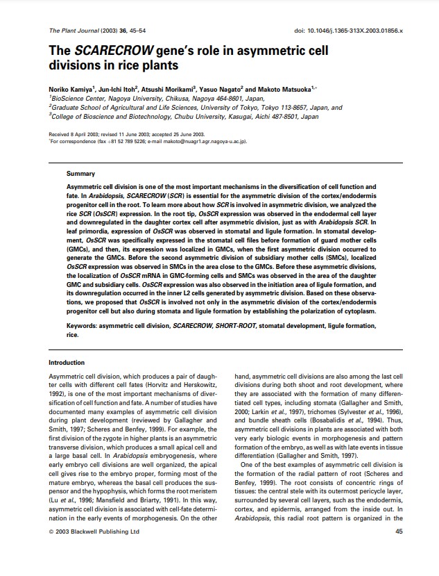 植物分子遺伝学研究室HP 研究業績